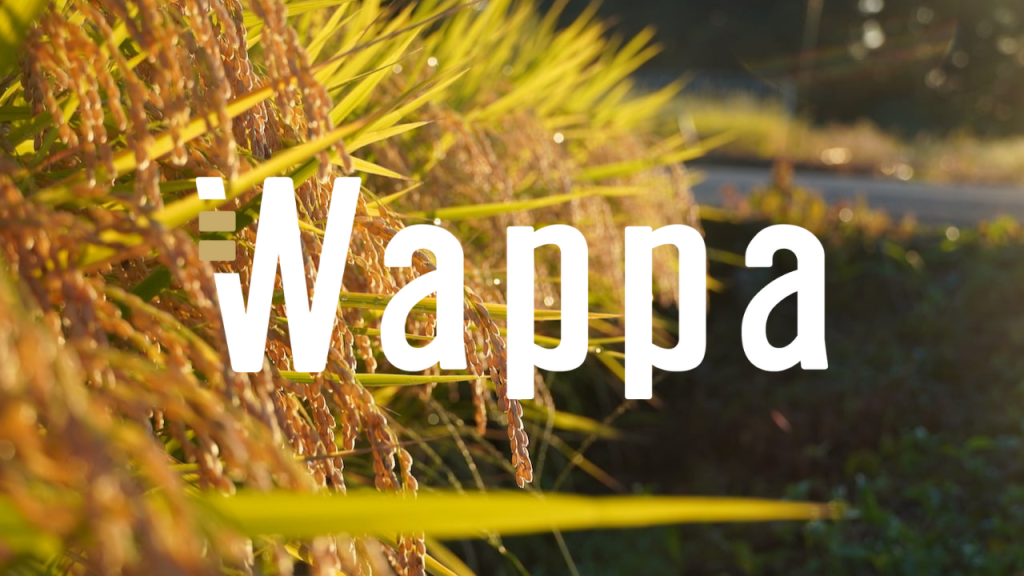 公式サイトWappa公開！ | wappa